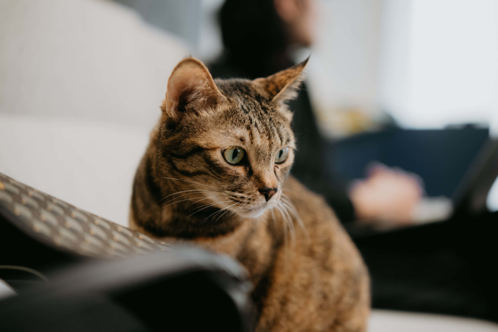 專訪呱吉：想當 YouTuber，先別想爆紅能賺多少錢 - HEAVEN RAVEN - HEAVEN RAVEN